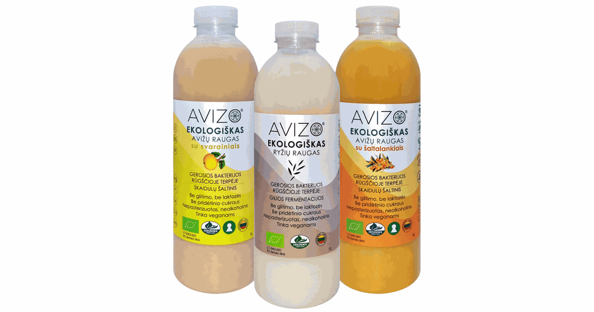 Probiootilised joogid - kombucha, keefir ja taimne valik | LIVIN